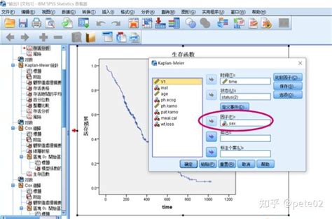 Spss软件进行生存分析 知乎