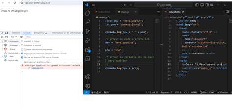 Cours Sur Les Variables En Javascript Développeur Pro