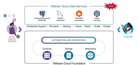 Tanzu Data Services Brings Simplified And Secure Data Management For