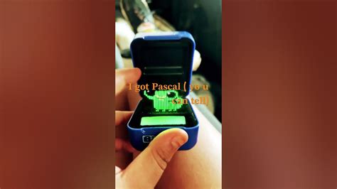 Bitzee Disney Pascal Repunzel Youtube