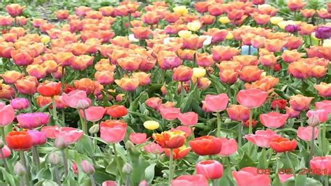 Sabli Hapur Map Property Rates Projects Photos Reviews Info