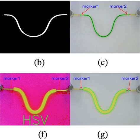 Image Processing For Generating A Fixed Sampled Closed Contour Of