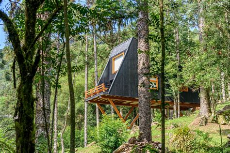 Galeria De Casa Árbol Íntegra Studio Arquitetura 2