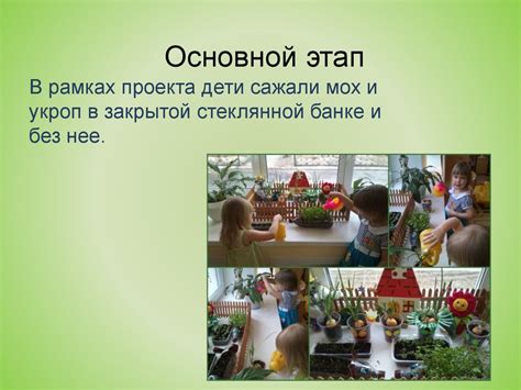 Проект "Можно ли вырастить растение в закрытой стеклянной банке ...