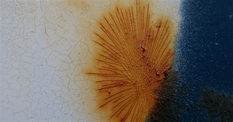 Visions Laura Kraning La Lumiere Collective