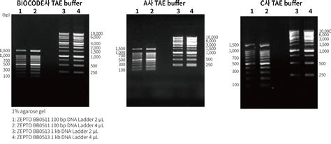 Bcodegen™ 50× Tae Buffer Scinomics