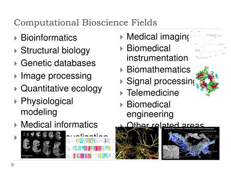 Ppt Introduction To Computational Biosciences And Bioinformatics Powerpoint Presentation Id