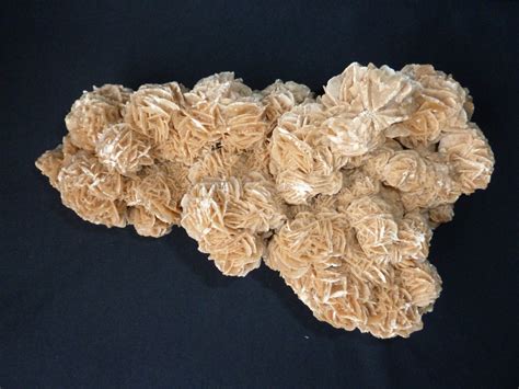 무료 이미지 목재 잎 꽃 갈색 노랑 의학 자료 산호 데코 바위 미술 장식적인 아름다움 광석 결정 늦은 축복합니다 광물 석영 장식하다