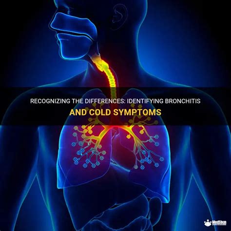 Recognizing The Differences Identifying Bronchitis And Cold Symptoms
