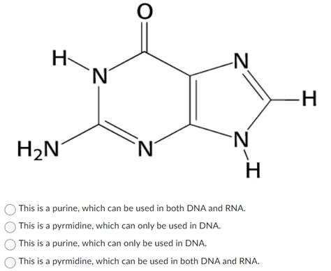 Solved Answer This Look At The Nitrogenous Base Below