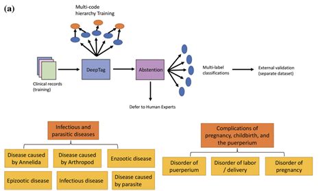 Improving Automated Diagnostic Coding Structures In Veterinary Medicine