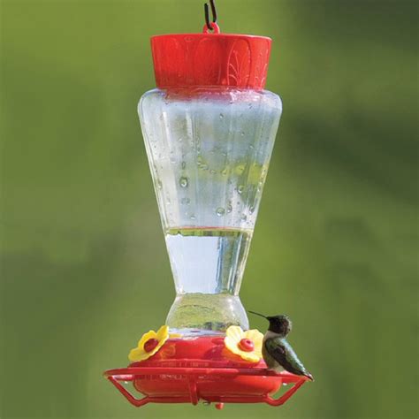 Royal Red Hummingbird Feeder Shopic
