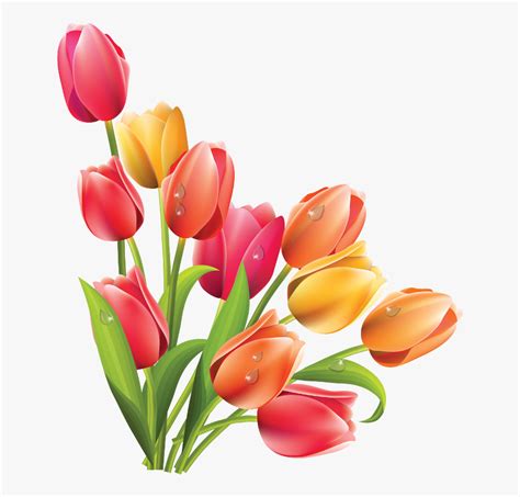 Free Tulip Clipart 10 Free Cliparts Download Images On Clipground 2026