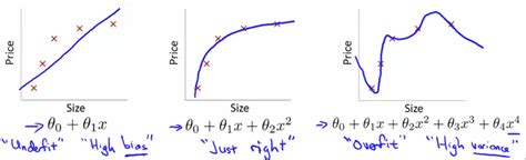 Regularization Jays Domain