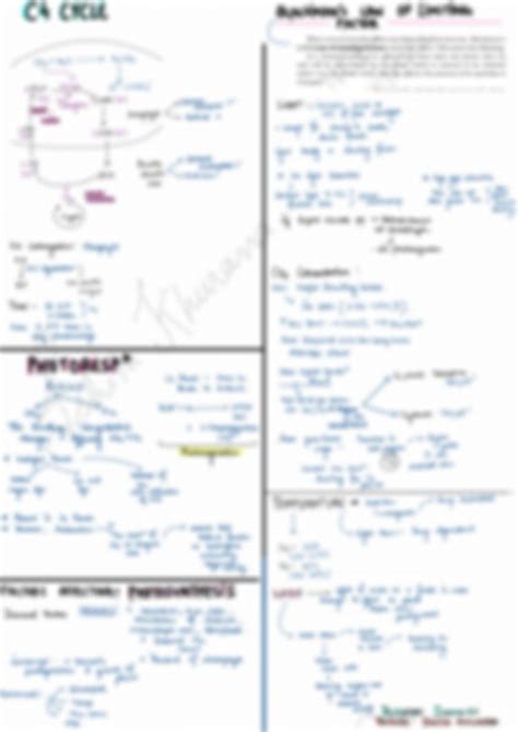 Solution Photosynthesis Light Reaction Flowchart Mindmaps Detailed