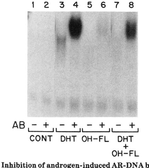 Androgen Response Element Semantic Scholar