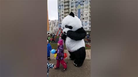 поздравление с днем рождения от Белого Мишки и Панды Потаповны т 89198457704 Новая Москва