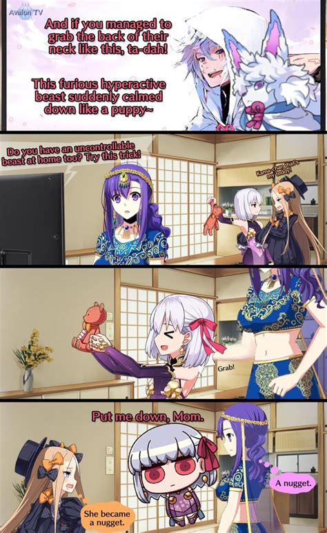 Ghim C A Meta Tr N Fate Series K O Chuy N C I Chuy N Vui