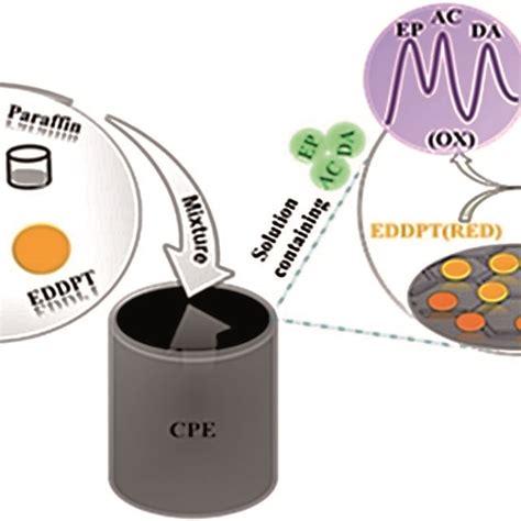 Schematic Representation Of The Cpe Modified With Go And Eddpt As