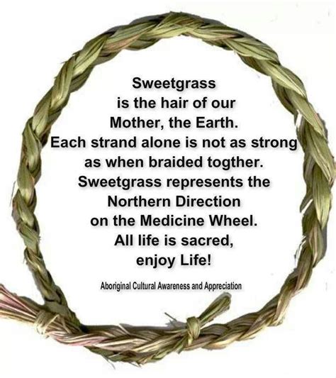 Sweet Grass Medicine Wheel Native American Spirituality Native