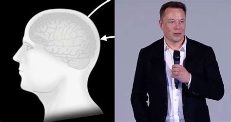 LIVESTREAM Watch Elon Musk Detail Neuralink S Brain Interface Developments