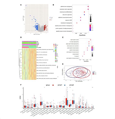 Functional Annotation Analysis Of Differentially Expressed Genes Download Scientific Diagram