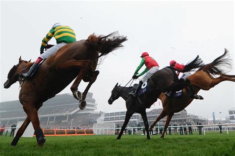 More Of That Ignores World Hurdle Script