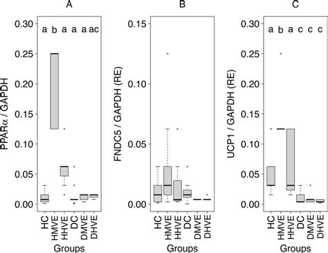 A Ppar α B Fndc5 C Ucp1 Pcr Results Download Scientific Diagram