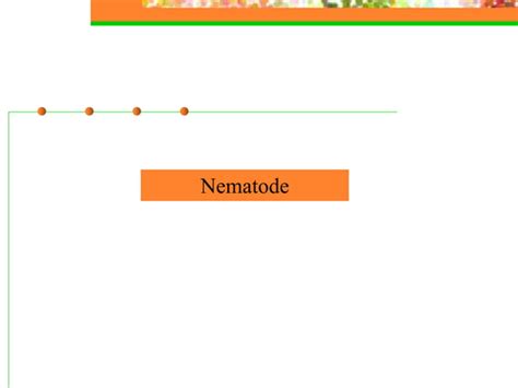 Introduction And History Nematology And Taxonomy Of Plant Parasitic