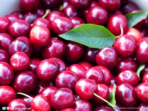 樱桃摄影图 水果 生物世界 摄影图库 昵图网