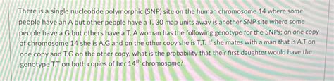 Solved There Is A Single Nucleotide Polymorphic Snp ﻿site