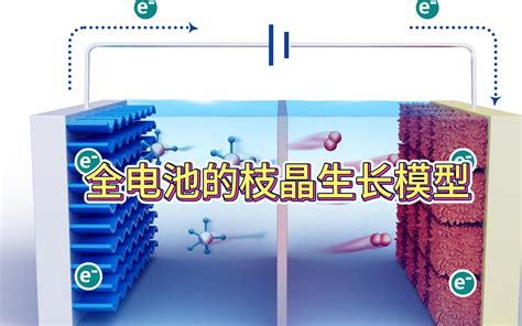 全电池的枝晶生长模型