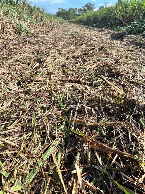 terraforma how to manage and accelerate plant residual decomposition