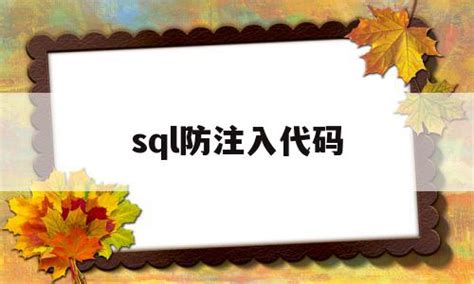 sql防注入代码 防sql注入是什么意思 杂七乱八 源码村资源网