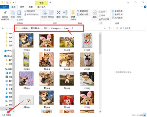 图像分类模板——有数据集即可实现图像分类任务 图像分类数据集制作 csdn博客