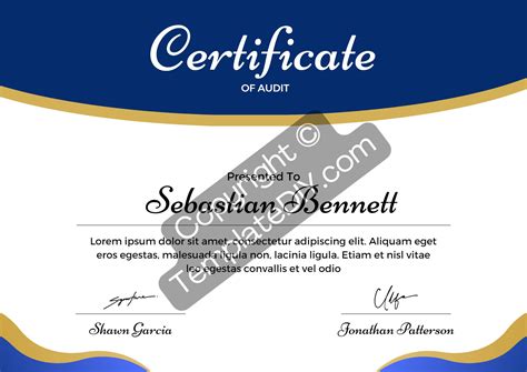 Professional Audit Certificate Template Editable And Printable
