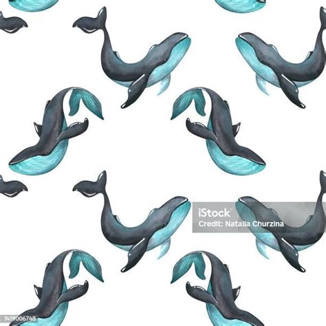 흰색 배경에 파란색과 검은 고래 수채화 그림 큰 고래 세트에서 완벽한 패턴 섬유 직물 벽지 포장지 침대 린넨 의류 액세서리