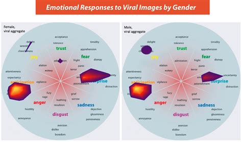 Age And Gender Matter In Viral Marketing