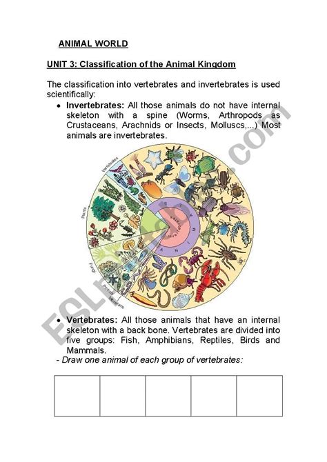 Animal Classification Esl Worksheet By Sandrahn7