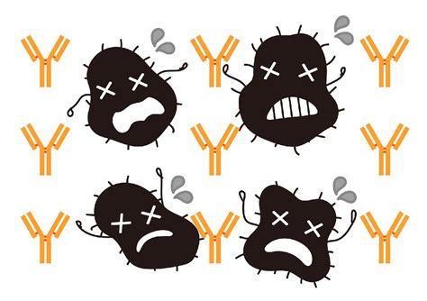 抗体の利用と抗体医薬品 【抗体の働き】 《part2》 がん免疫療法コラム 6種複合免疫療法