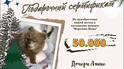 Самый лучший подарок на Новый год Рождество день Рождения и другой праздник и знаменательный