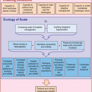 A Diagrammatic Representation Of Conservation From The Insideout For Download Scientific