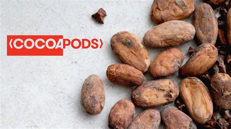 Cocoapods Scale Your Projects Elegantly By Lerobitcast Jul 2024