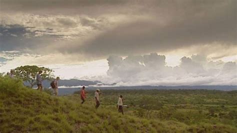 Australopithecus Characteristics And Facts Britannica