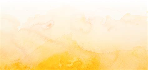 About 4 — Constanza Roeder