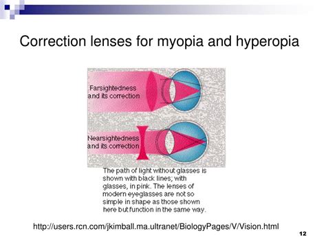 Ppt Optical Systems The Eye Magnifier Microscope Telescope