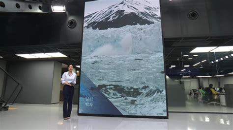 [날씨박사] 온실가스 증가로 숨 못 쉬는 식물…북극 온난화 부른다 Jtbc 뉴스