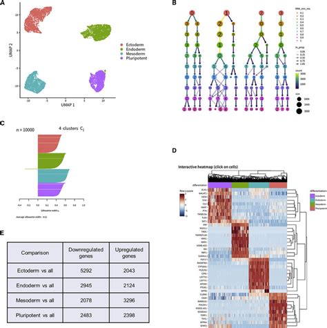 Analysis Of Ipsc Differentiation Into Embryonic Germ Layers A Umap Download Scientific