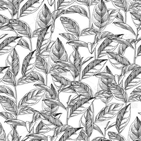 手绘茶叶和枝条的无缝图案 花瓣网