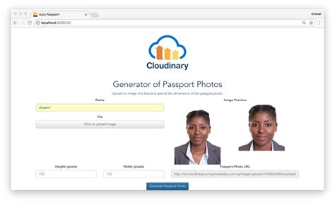 Github Orehgacl Auto Passport Building An Auto Passport Generator